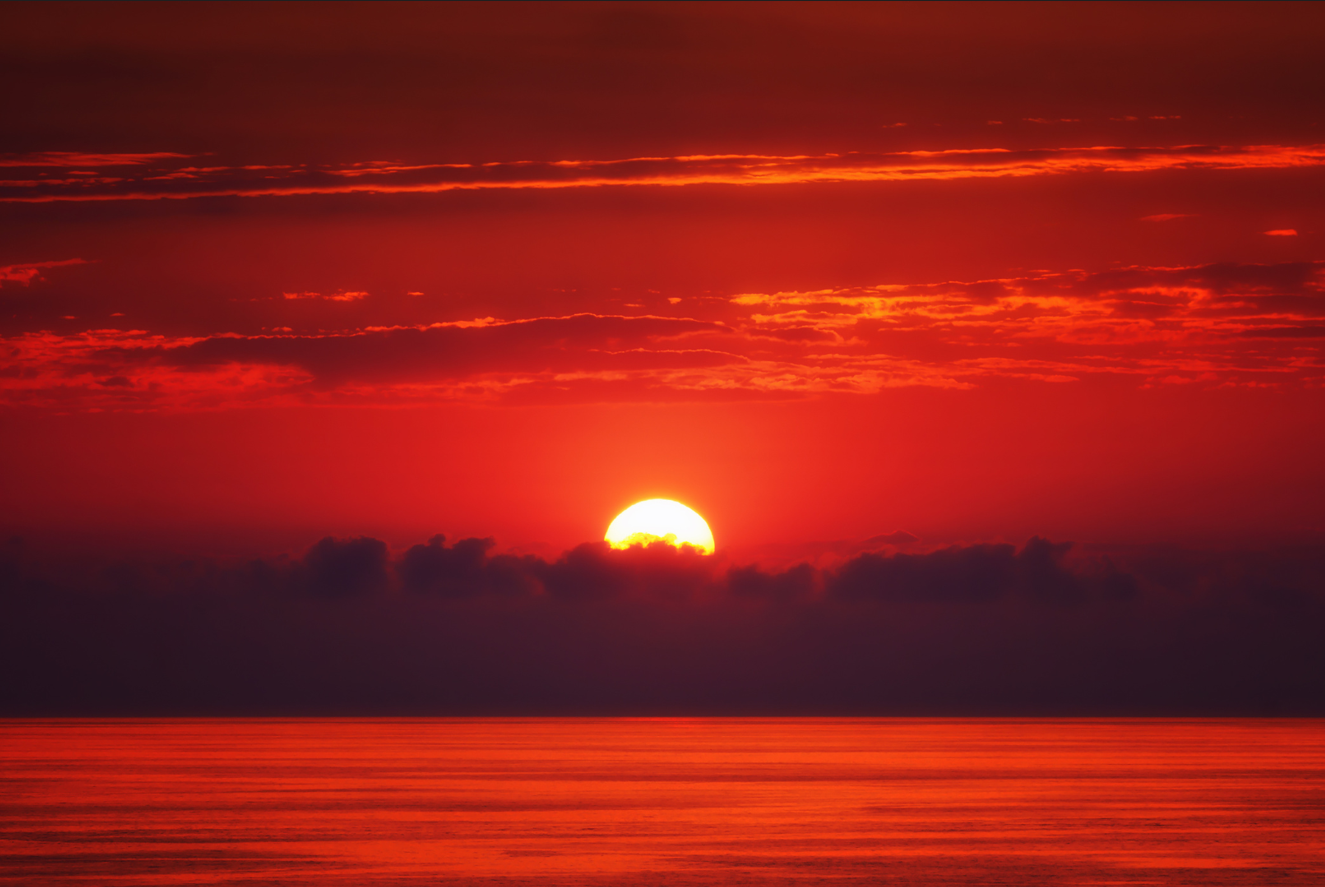 10 วิธีการเอาตัวรอดใน Red Ocean สำหรับผู้ประกอบการ SMEs — บริษัท ไอร่า ...